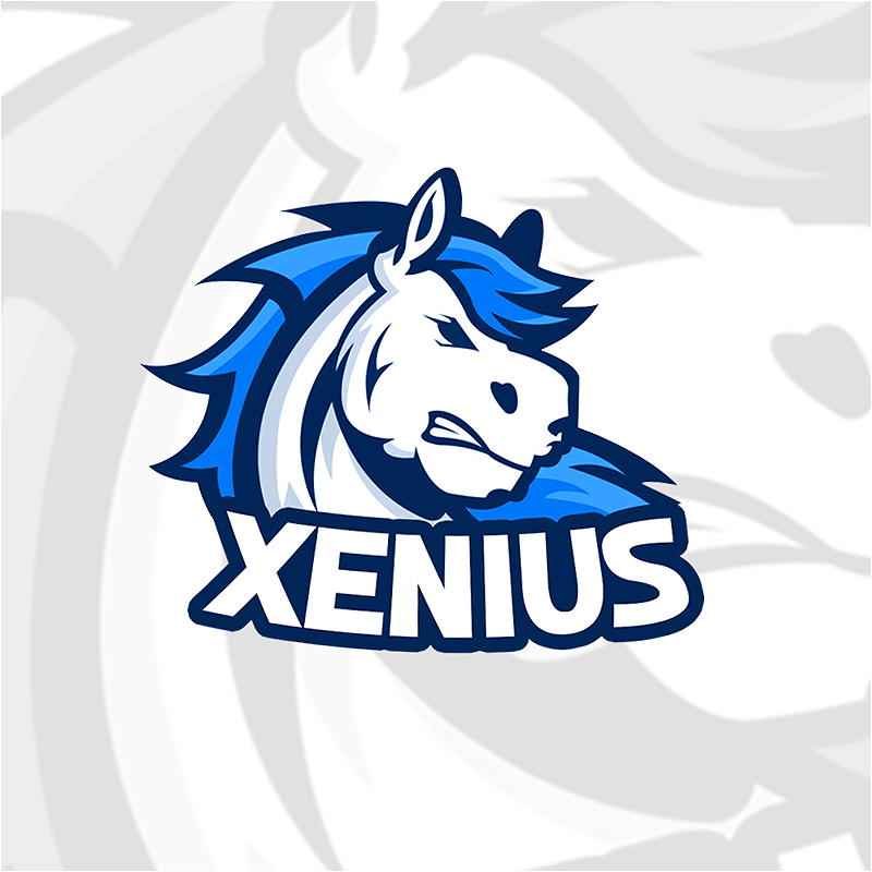 xENIUS - Teams - Valorant Versus - Temporada de Juegos