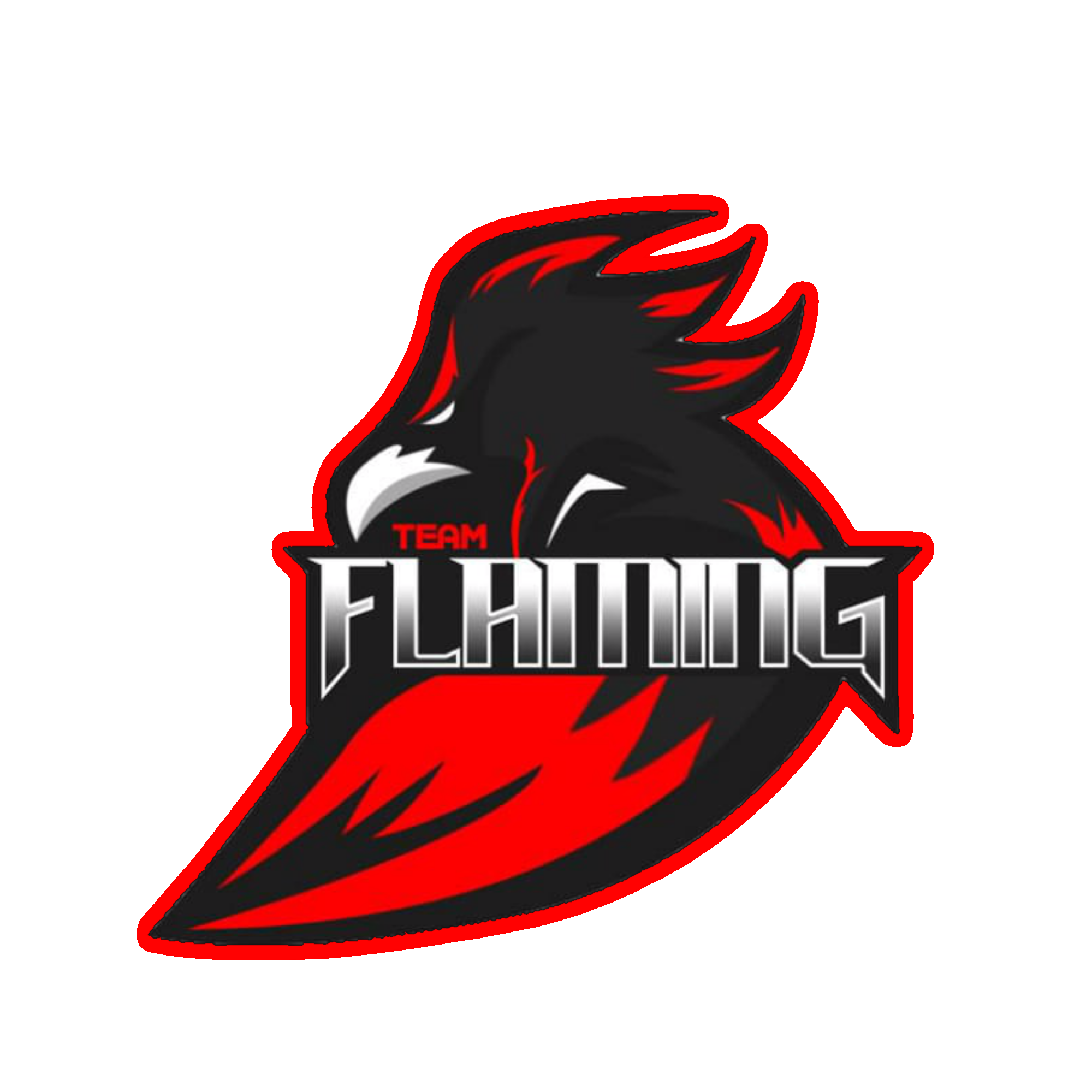 Team Flaming - Teams - Valorant Versus - Temporada de Juegos